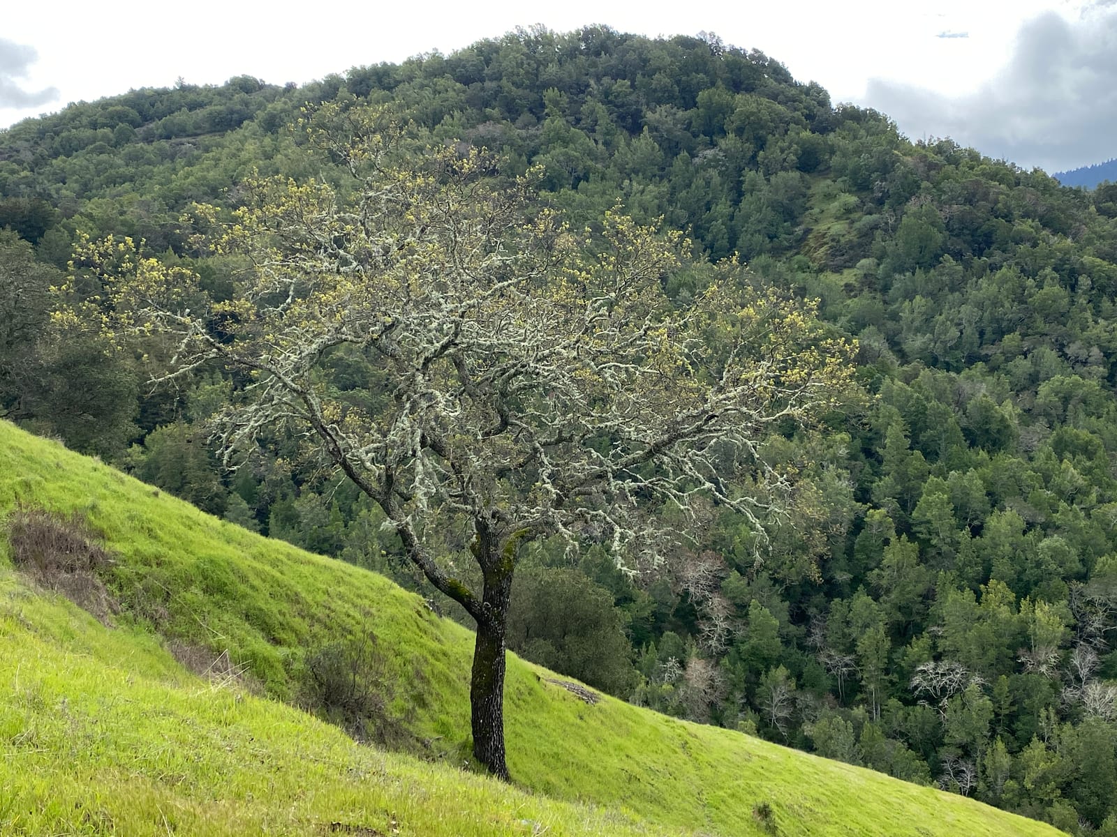 Death and Rebirth on the Road Home